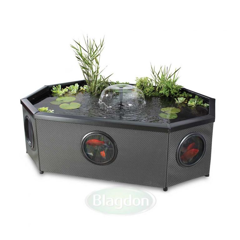 Affinity Living Feature Pools | Blagdon Water Gardening