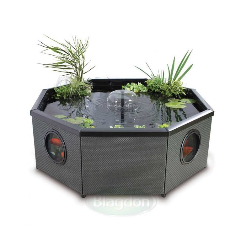 Affinity Living Feature Pools | Blagdon Water Gardening