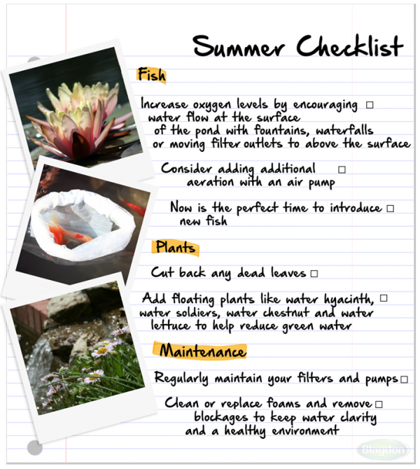 Summer Pond Care | Blagdon Water Gardening