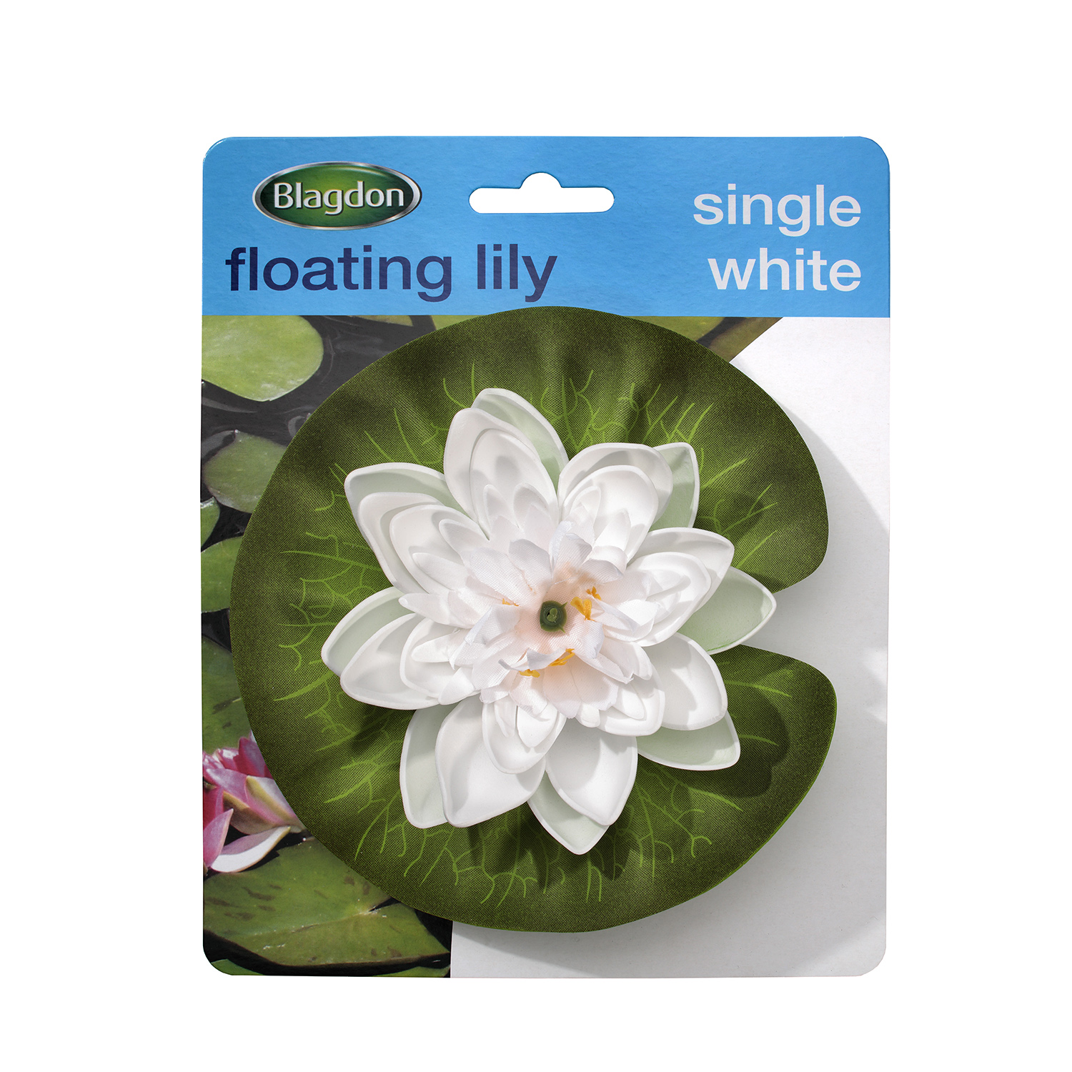 Floating Single White Lily | Blagdon Water Gardening